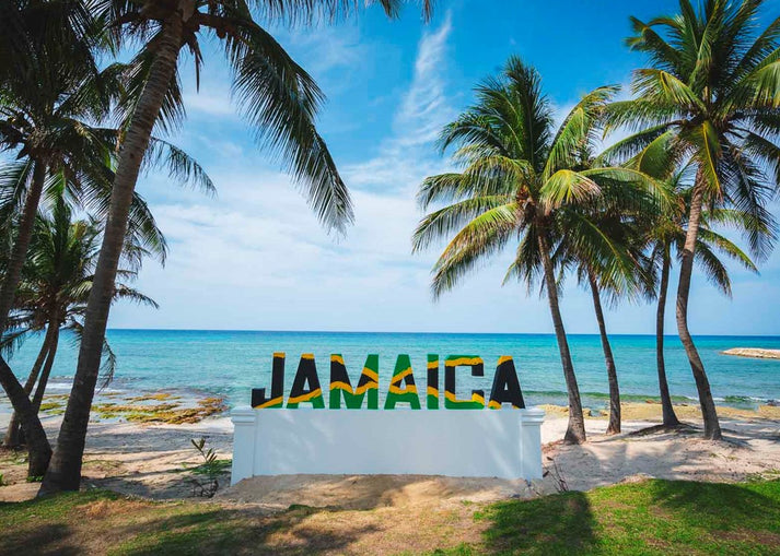 Jamaican Rum Boogie Scented Candles – Volume 109 Scented Candle Co.